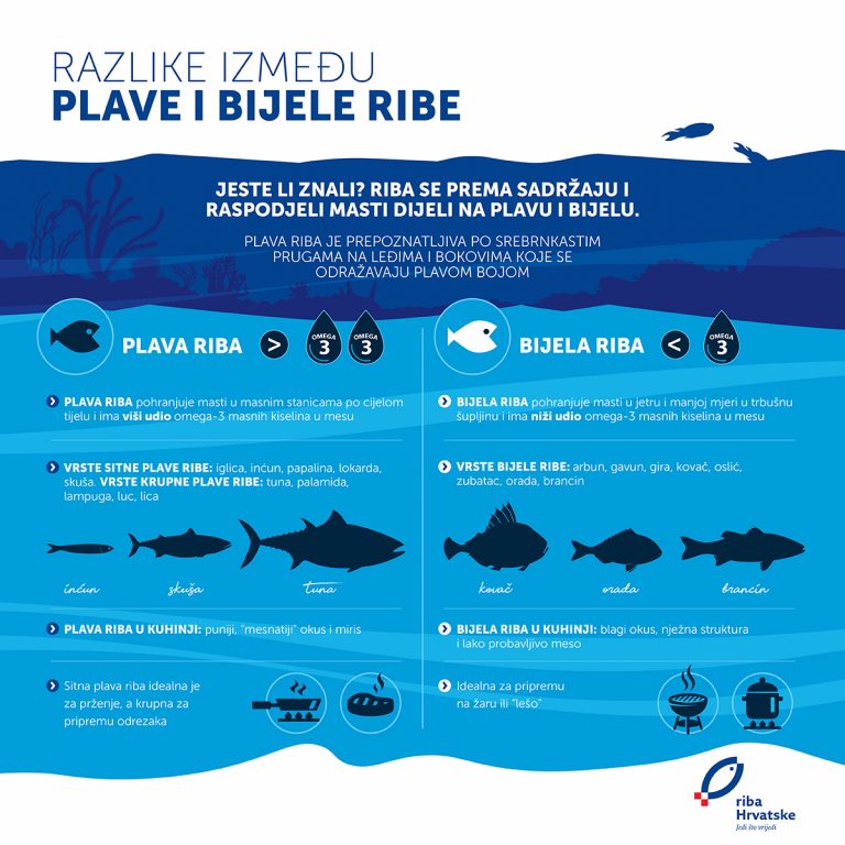 Razlike između plave i bijele ribe – Riba Hrvatske